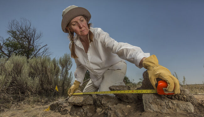 Careers in Anthropology - The American Anthropological Association