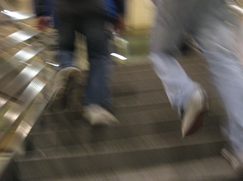 Guidelines for Creating Image Descriptions - The American ...