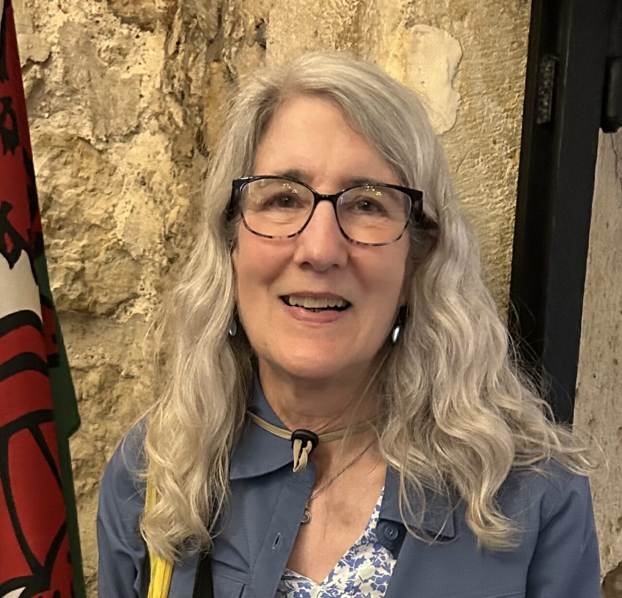 Sara Stinson - The American Anthropological Association